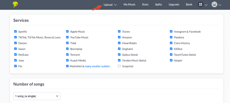 The Ultimate Guide To DistroKid: Everything You Need To Know - Best ...